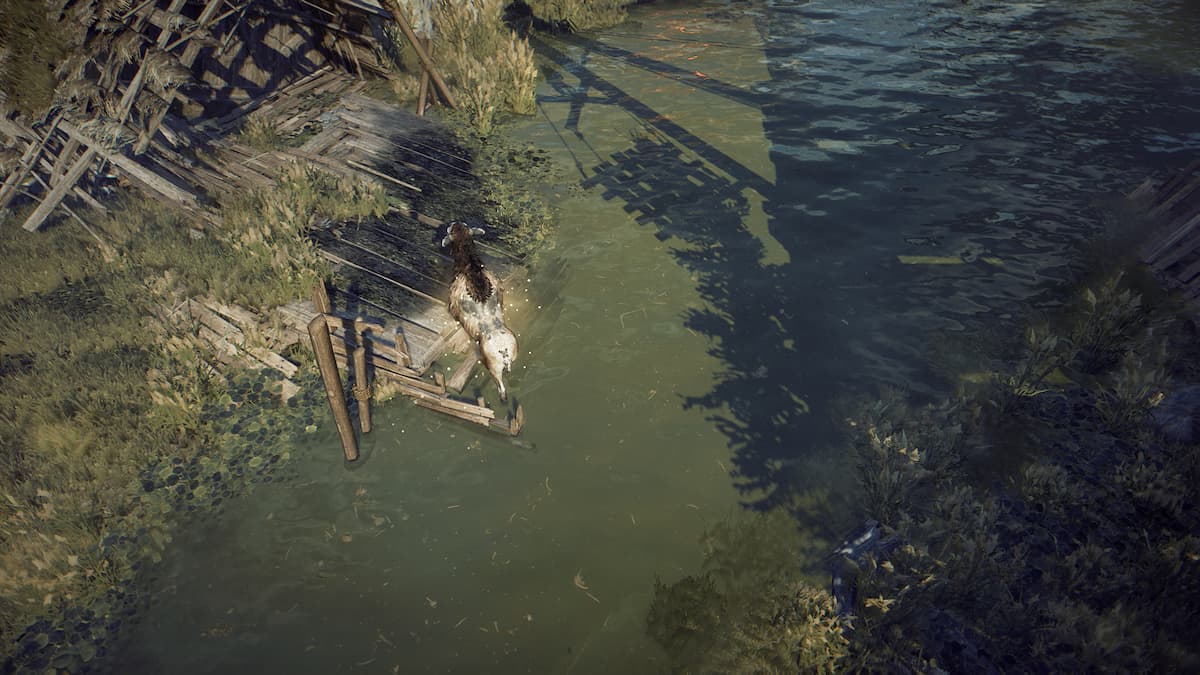 Atlas Fallen: How to Find Treasure in Wildlife Habitats – GameSkinny