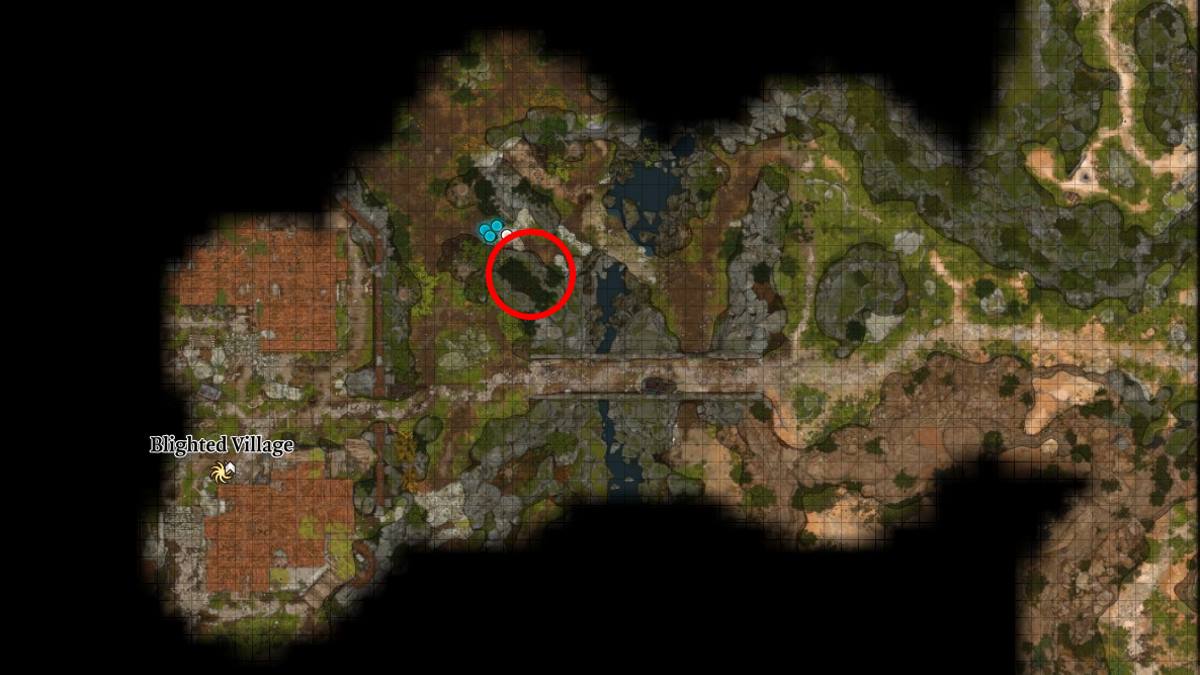 Baldur’s Gate 3: Where is the Owlbear Egg? – GameSkinny