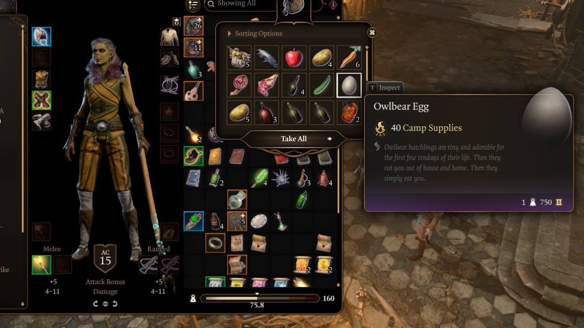 Baldur’s Gate 3: Where is the Owlbear Egg? – GameSkinny