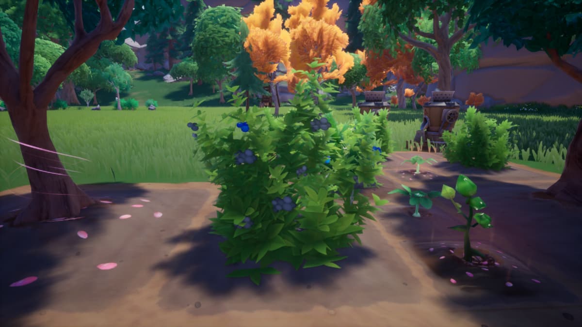 Palia: How to Complete Hunger Pains – GameSkinny