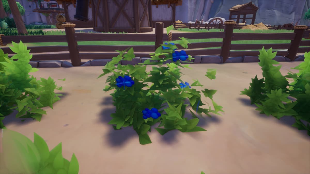 Palia: How to Get Blueberry Seeds – GameSkinny