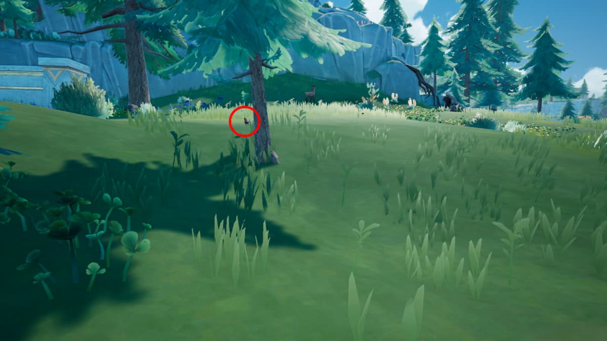 Palia: How to Catch a Cerulean Cicada – GameSkinny