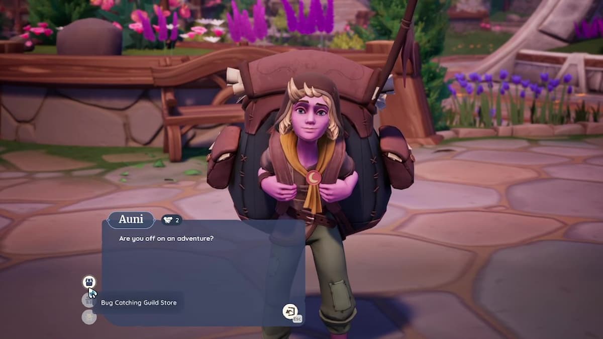 How to catch bugs in Palia – All Bug Locations – GameSkinny