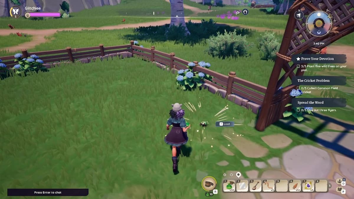 How to catch bugs in Palia – All Bug Locations – GameSkinny