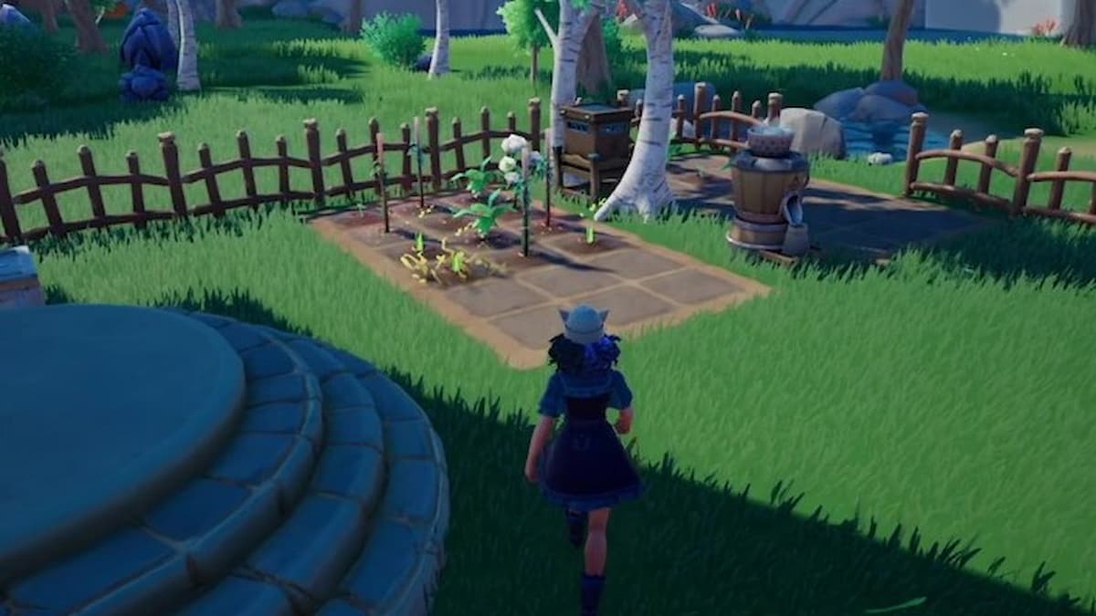 The Comprehensive Palia Companion Planting Guide – GameSkinny