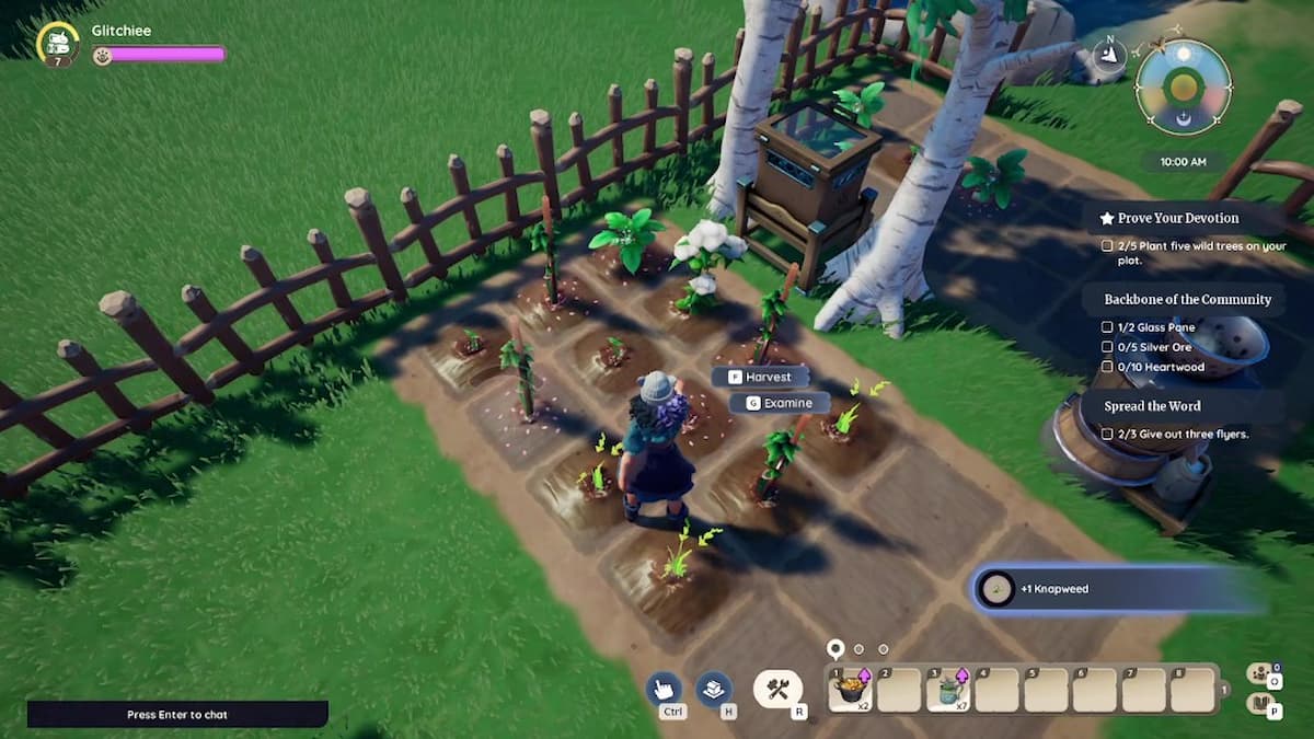 The Comprehensive Palia Companion Planting Guide – GameSkinny