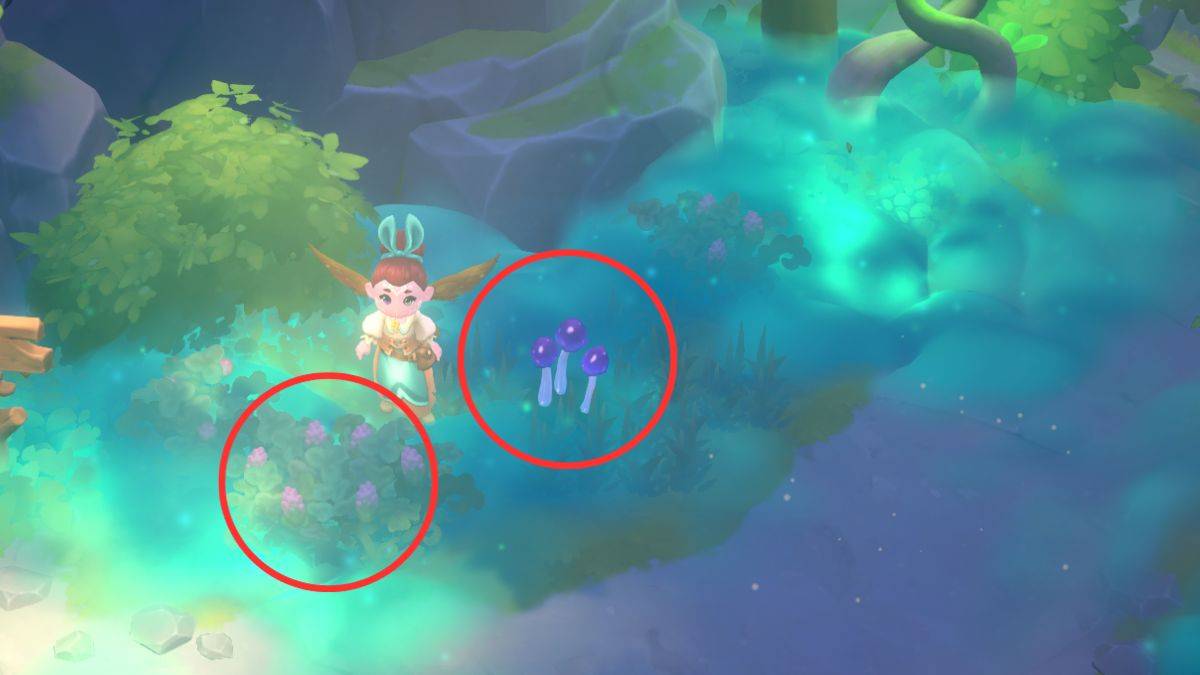 Fae Farm: How to Complete Sour But Sweet Quest – GameSkinny