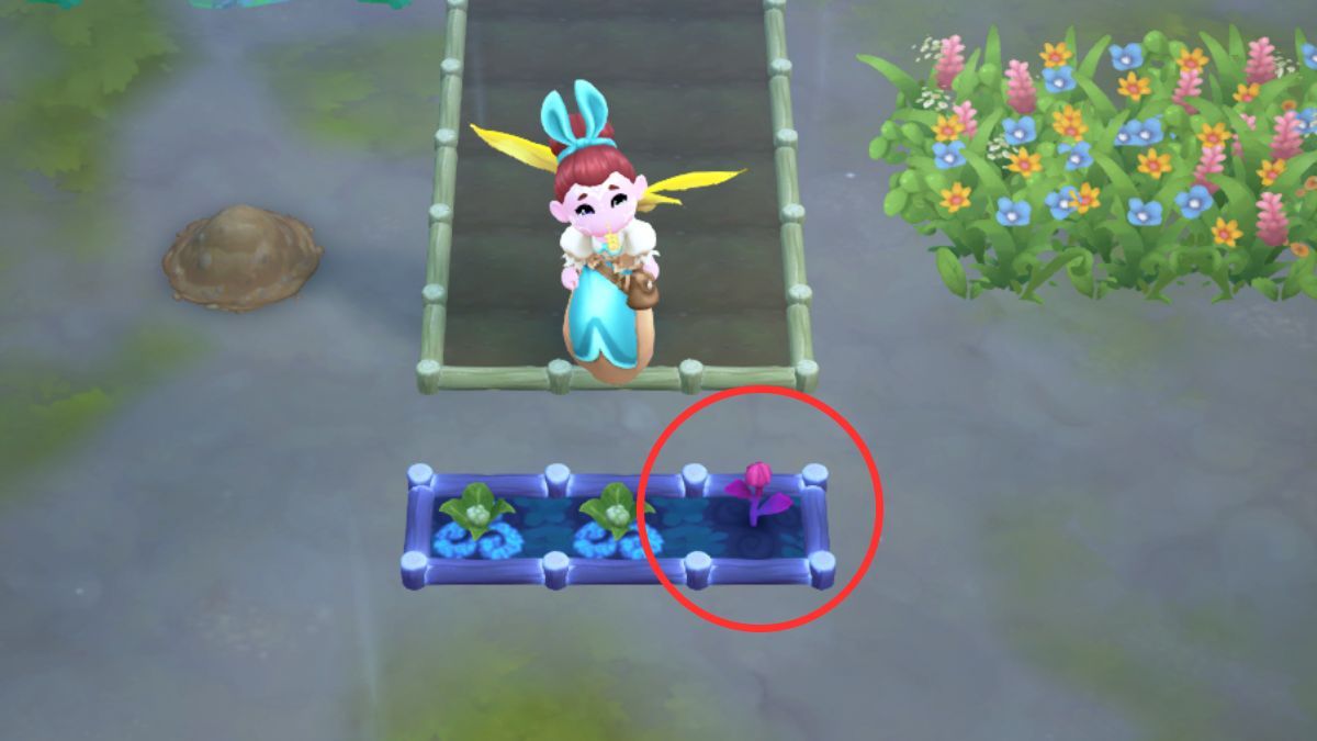 Fae Farm: How to Get Flame Heart – GameSkinny