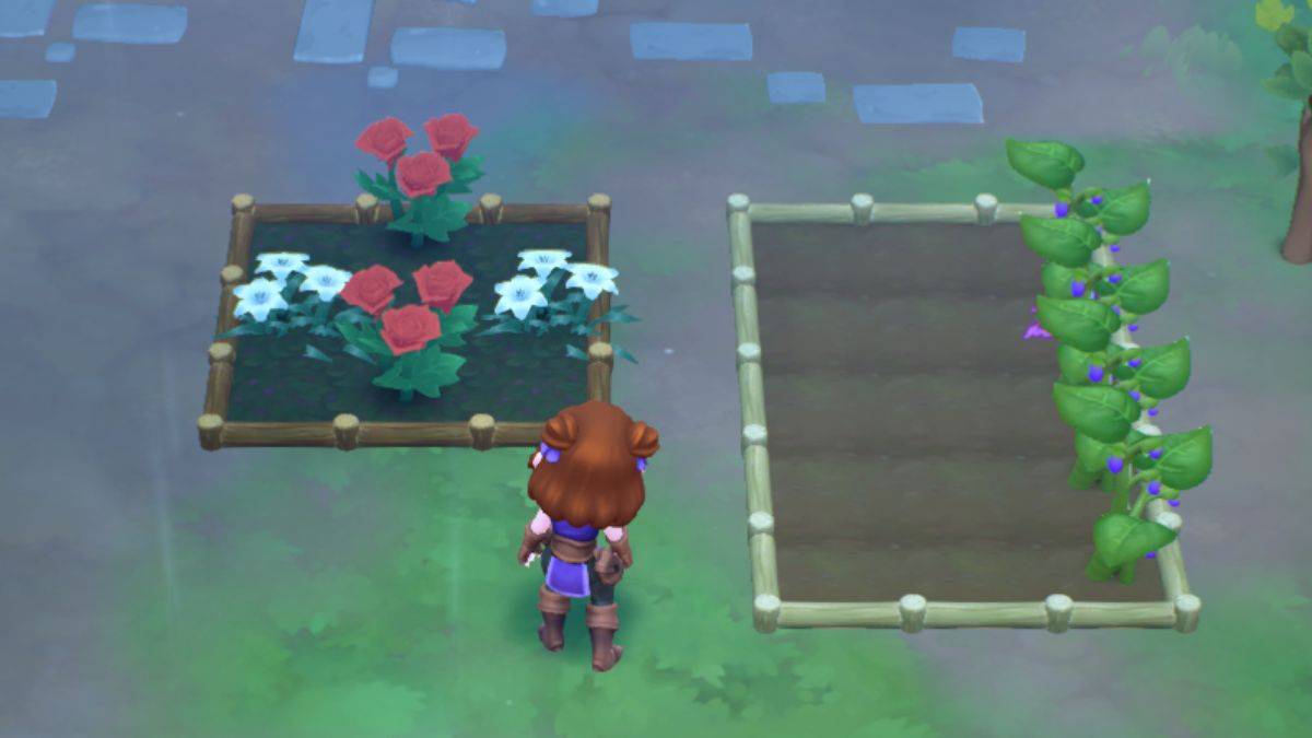 Fae Farm: How to Grow Pink and Hybrid Flowers – GameSkinny