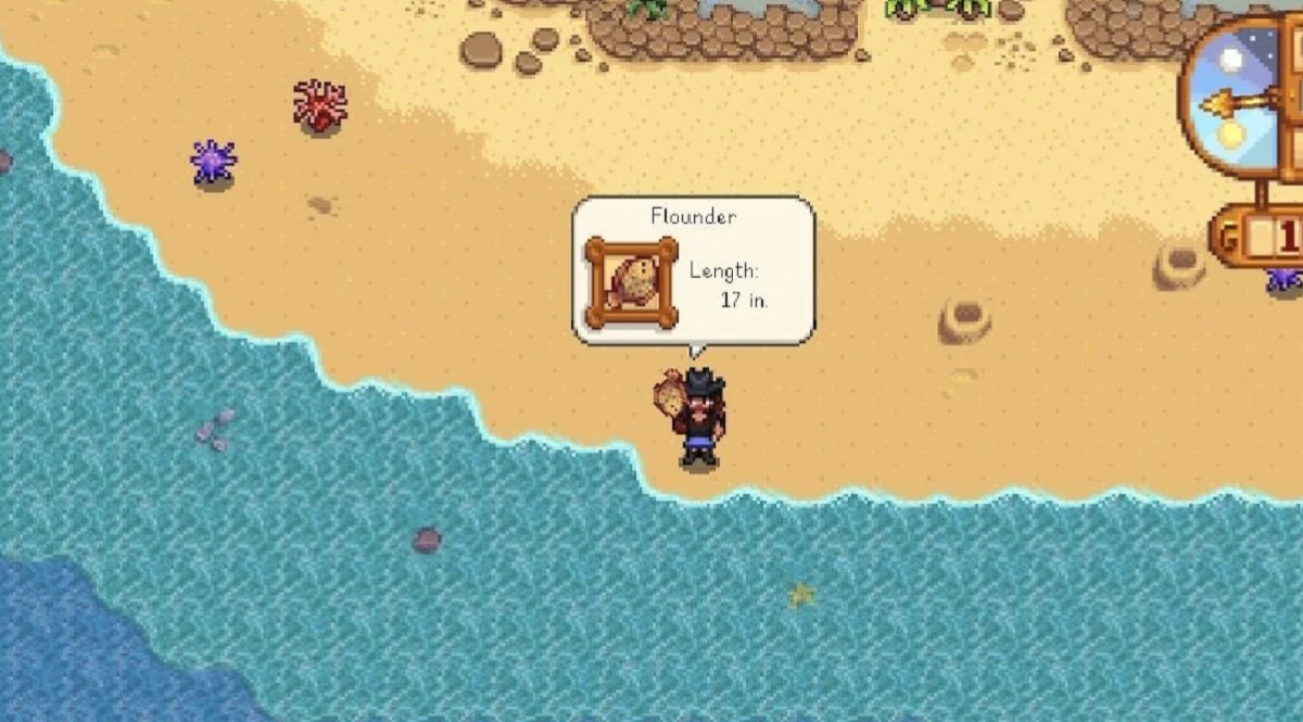 Stardew Valley: How to Catch Flounder – GameSkinny