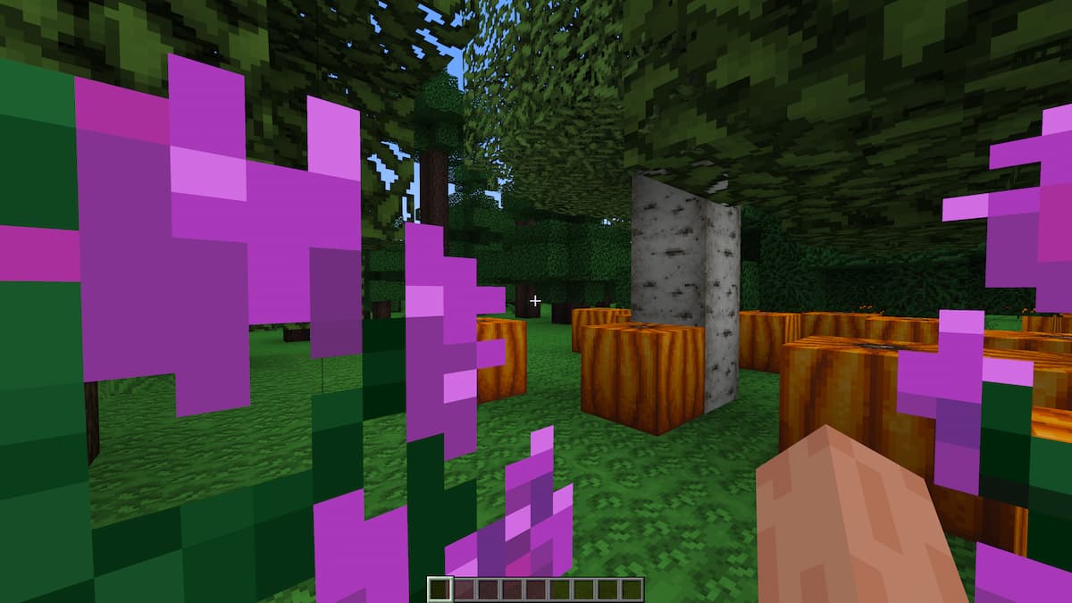 Top 10 Best Minecraft Taiga Biome Seeds – GameSkinny