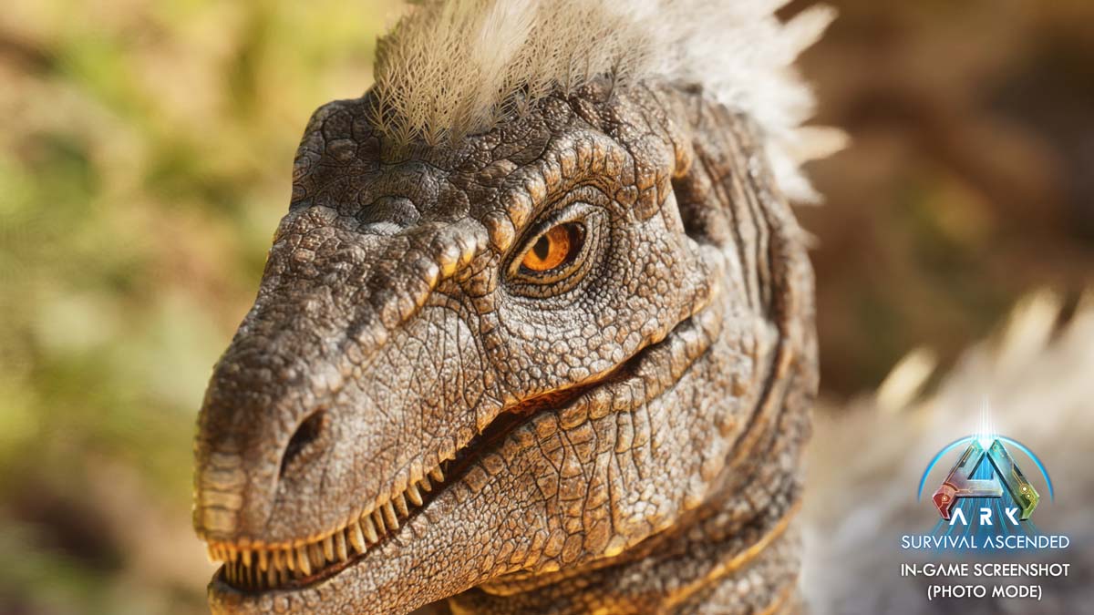 Ark: Survival Ascended Console Commands for Better Performance – GameSkinny