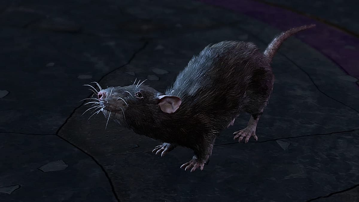 Baldur’s Gate 3: How to Get the Justiciar’s Scimitar – GameSkinny