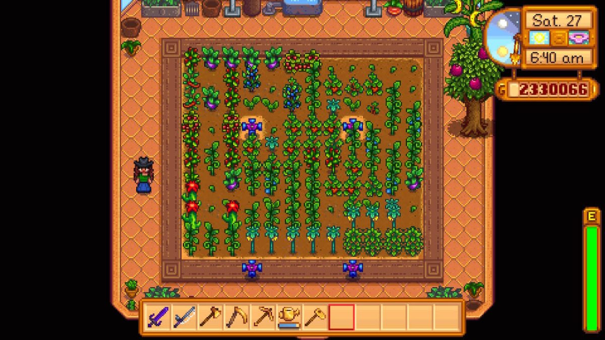 Stardew Valley: Best Greenhouse Layout – GameSkinny