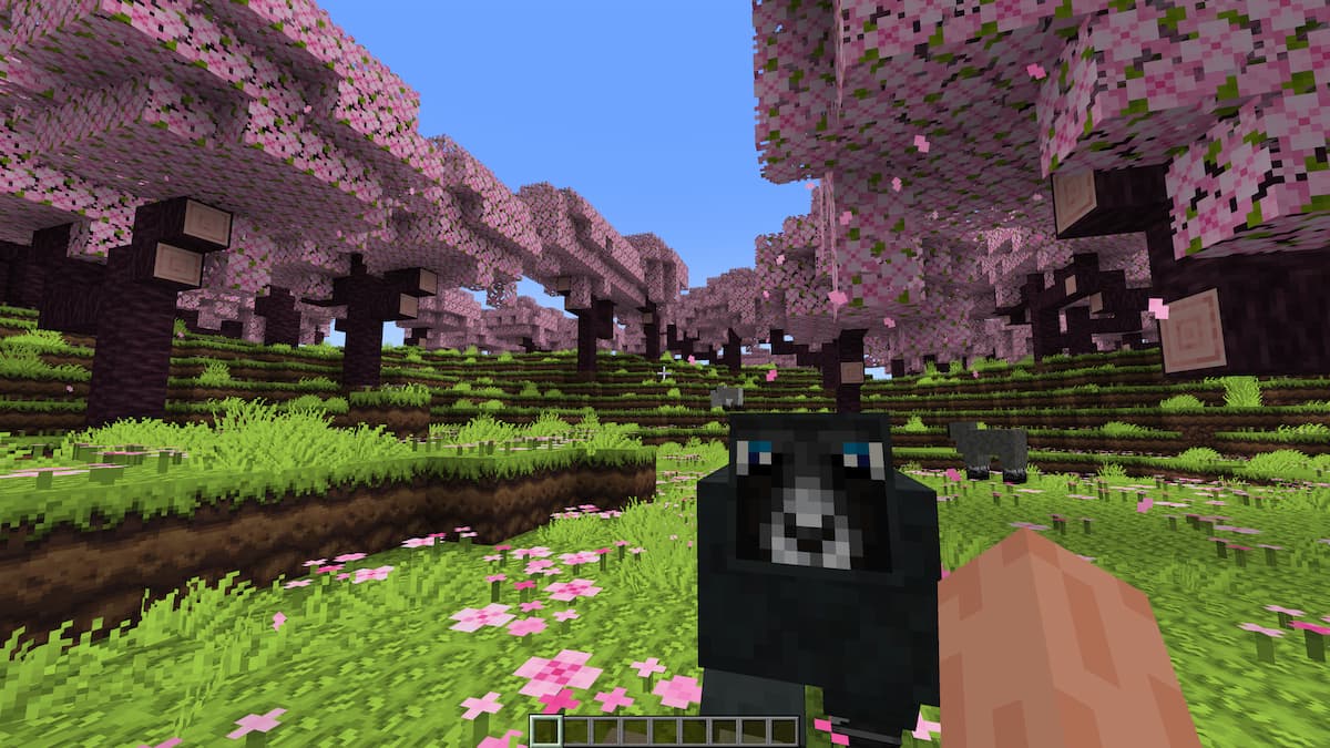 Most Beautiful Minecraft 1.20.2 Seeds – GameSkinny
