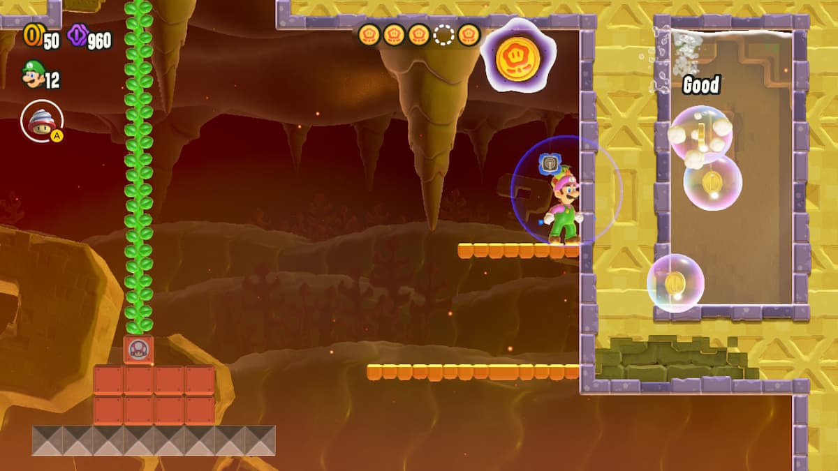 Super Mario Bros. Wonder: Item Park Wonder Token Locations – GameSkinny