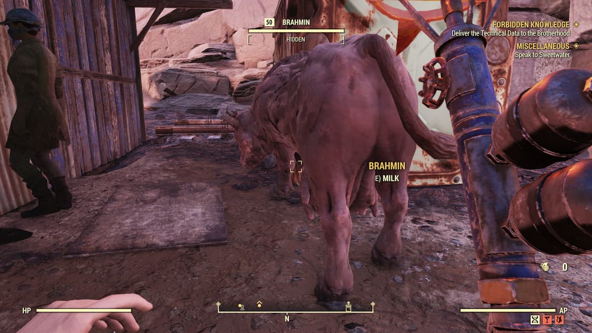 Fallout 76: How to Milk a Brahmin – GameSkinny