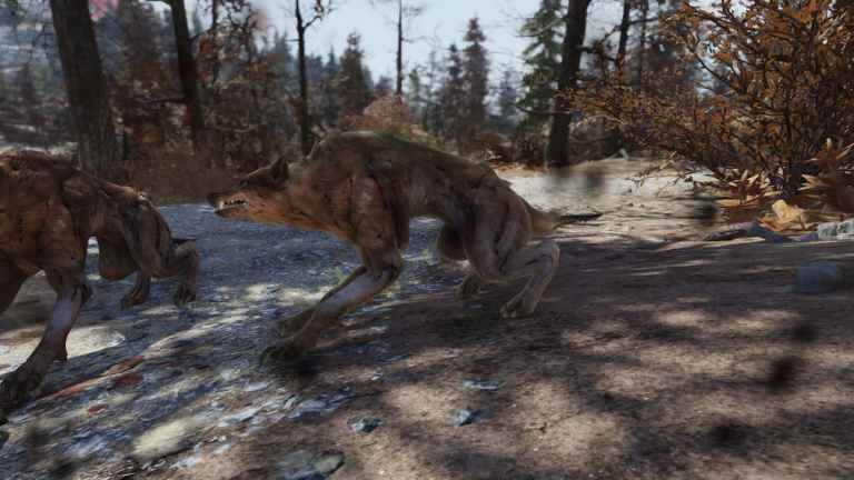 Fallout 76: Where to Find Wolves – GameSkinny