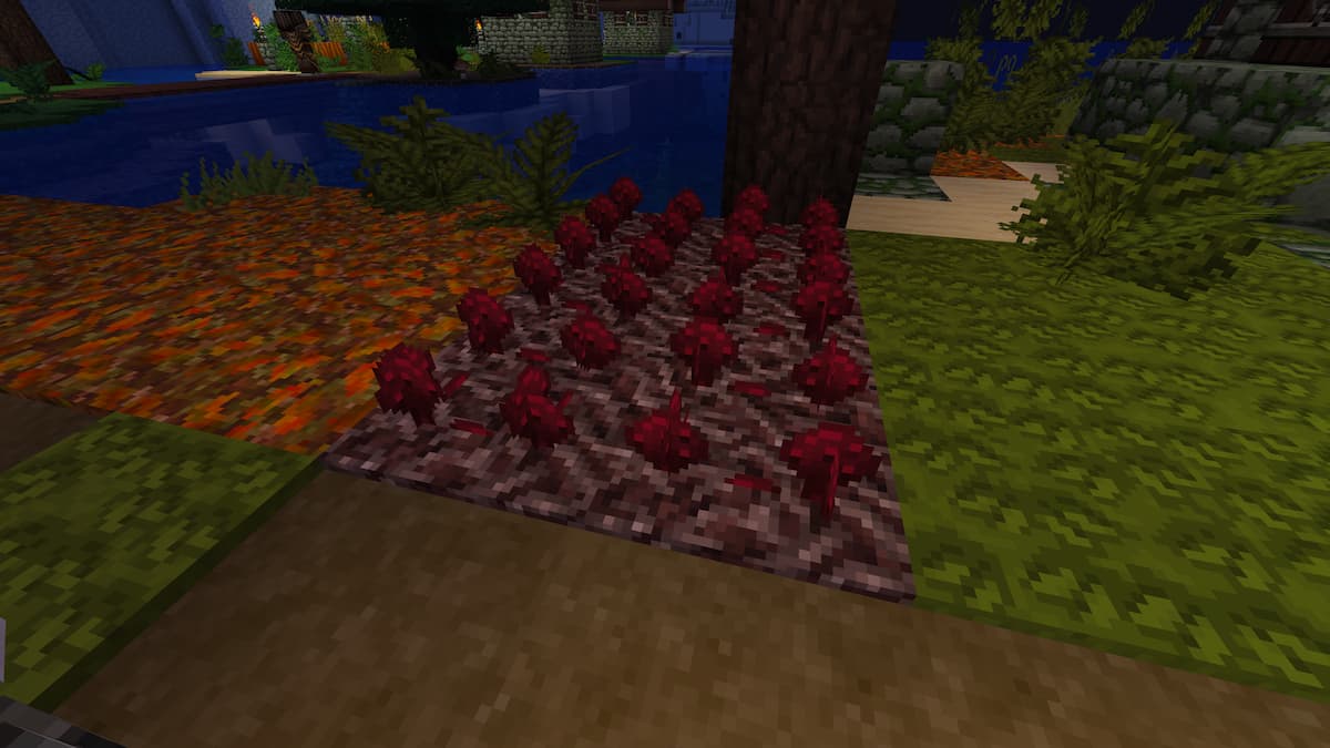 Minecraft: 10 Best Crops to Farm (1.20.2) – GameSkinny