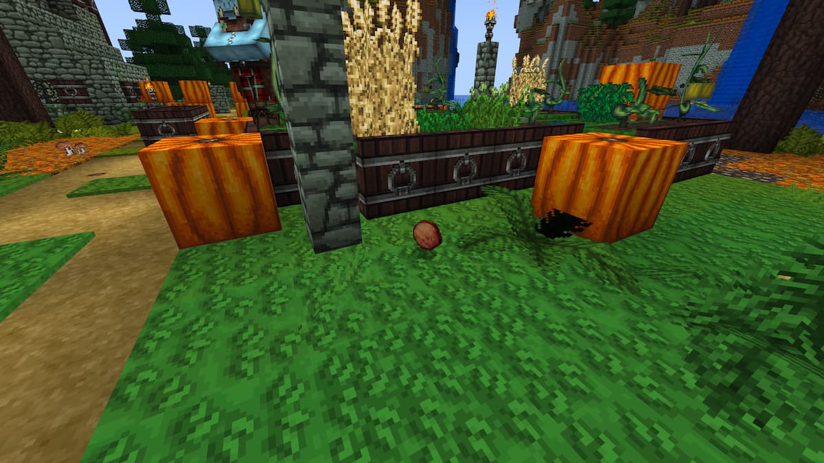 Minecraft: 10 Best Crops to Farm (1.20.2) – GameSkinny