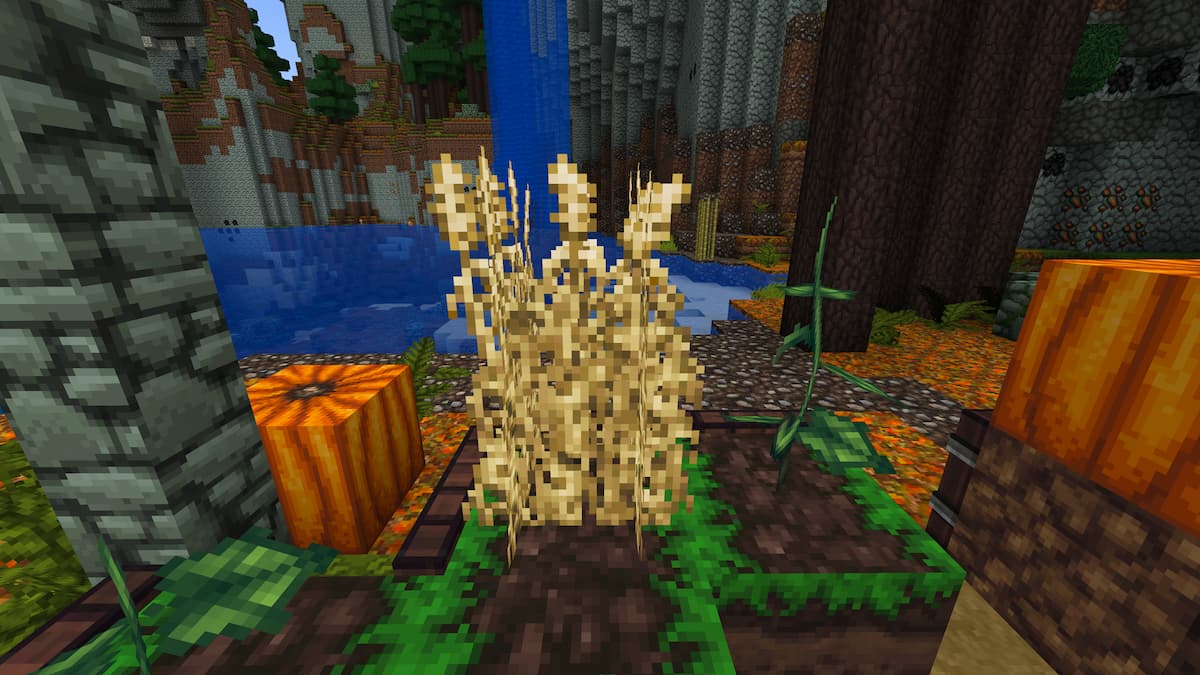 Minecraft: 10 Best Crops to Farm (1.20.2) – GameSkinny