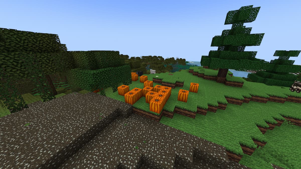 Top 10 Best Cottagecore Minecraft Seeds – GameSkinny