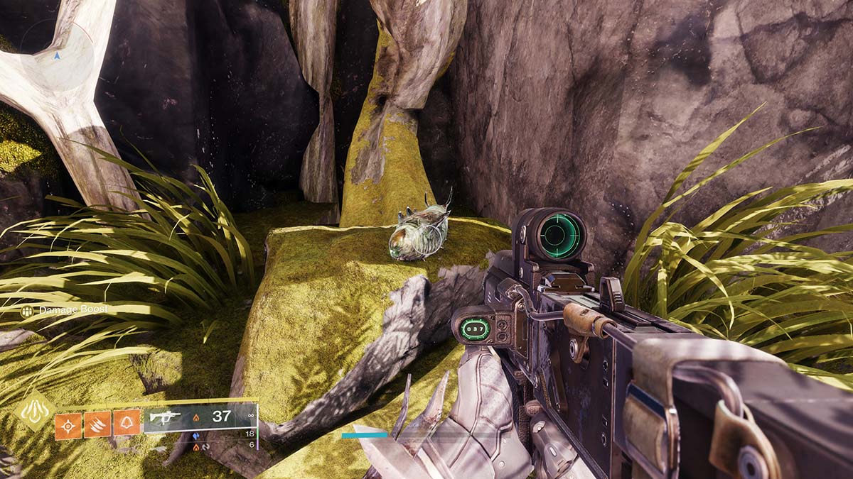 Destiny 2 Warded by Wormhost Guide: Chest Location and Where to Find ...