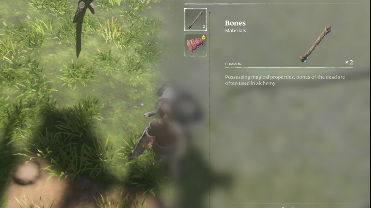 Enshrouded: How to Get More Bones Fast – GameSkinny