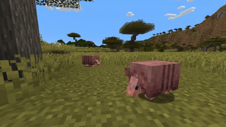 Minecraft Armadillo Comparison: What Does it Look Like Before and After ...