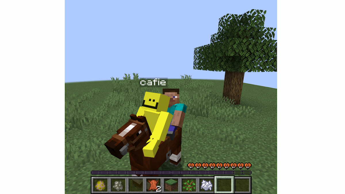 2024 年 2 月の馬を含む Minecraft Mod ベスト 10 – GameSkinny - Gamingdeputy Japan