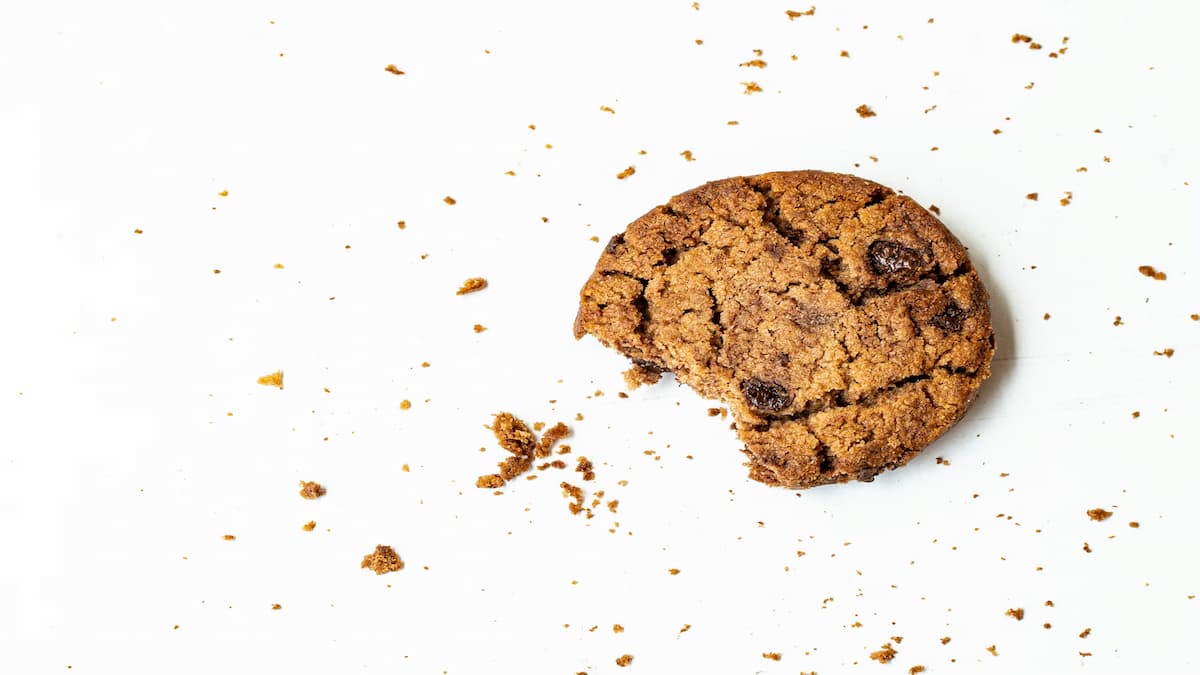 How to Make a Cookie in Infinite Craft – GameSkinny