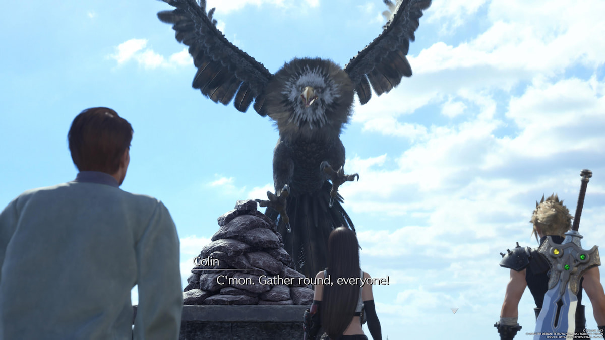 What Condor Food Should You Choose in Final Fantasy 7 Rebirth? – GameSkinny