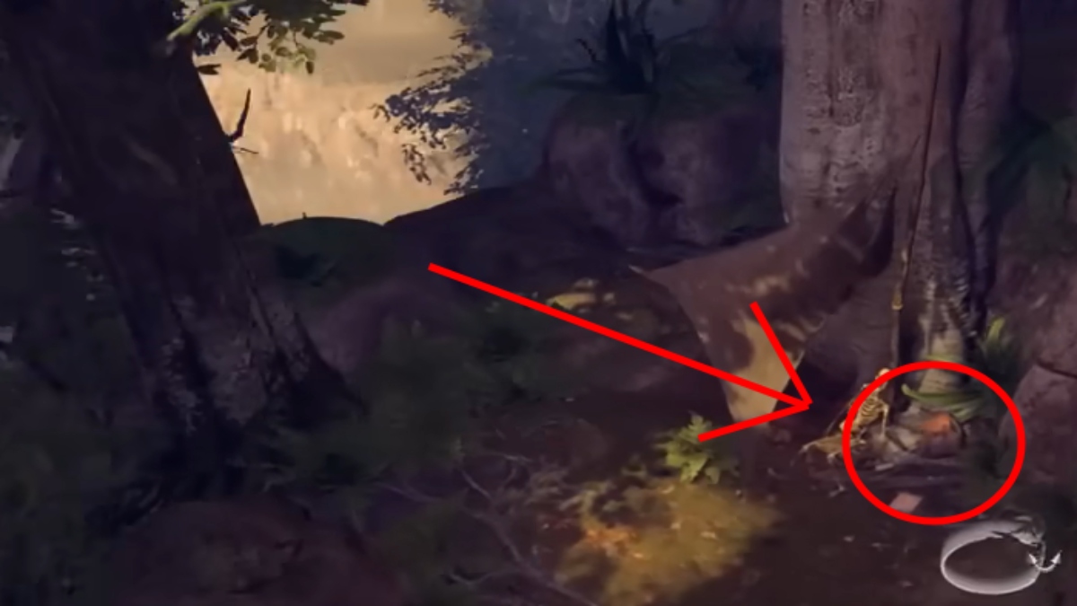 How to Get the Band of the Mystic Scoundrel in BG3 – GameSkinny