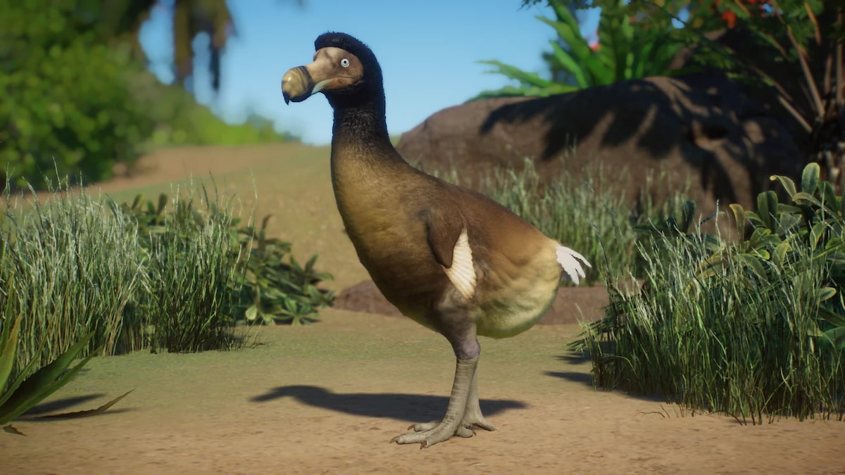 Top 10 Best Planet Zoo Mods & How to Install Them – GameSkinny