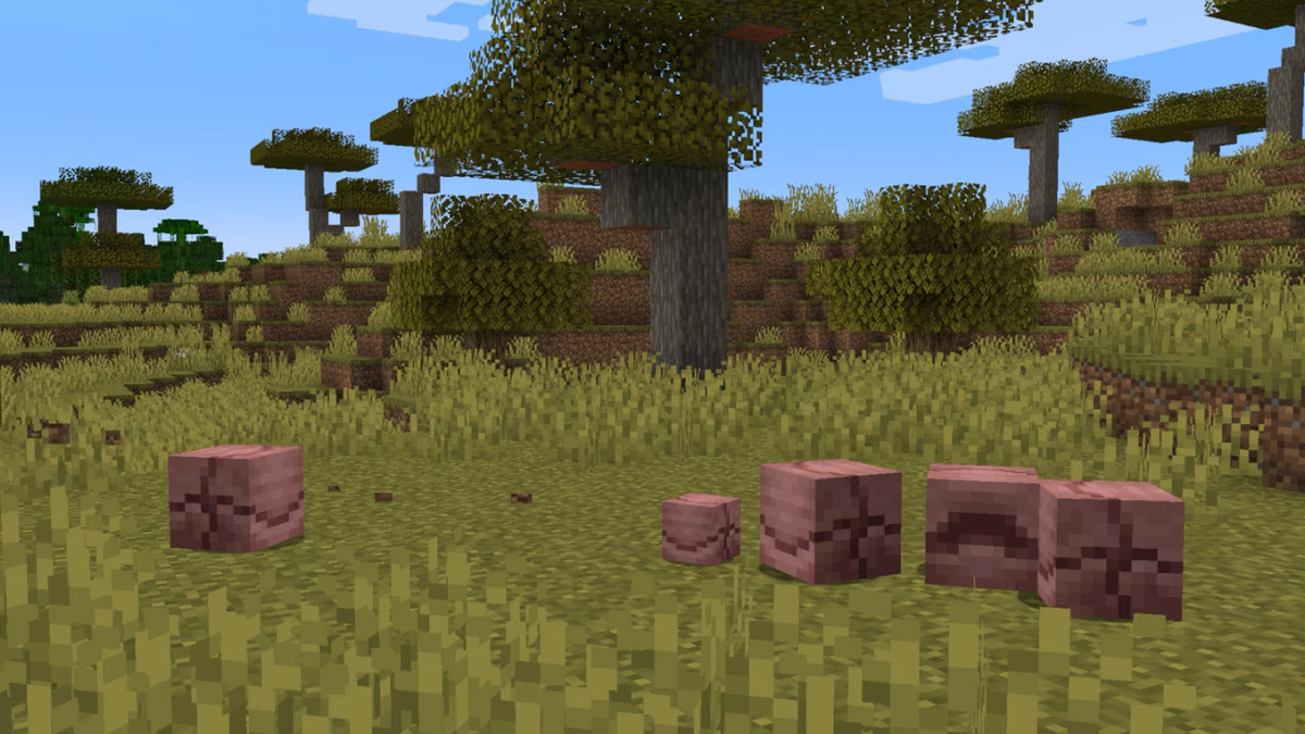 How to Breed Armadillos in Minecraft – GameSkinny