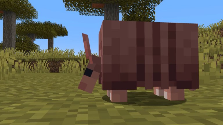 Where do Armadillos Spawn in Minecraft? – GameSkinny