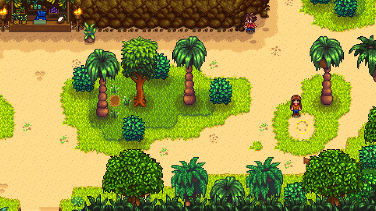 All Golden Walnut Locations in Stardew Valley – GameSkinny