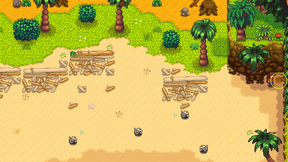 All Golden Walnut Locations in Stardew Valley – GameSkinny