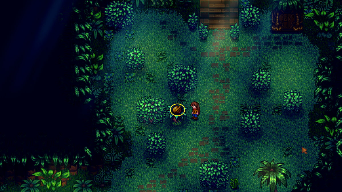 All Golden Walnut Locations in Stardew Valley – GameSkinny