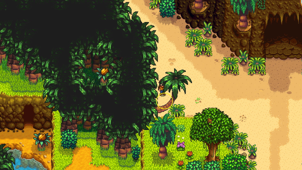 All Golden Walnut Locations in Stardew Valley – GameSkinny