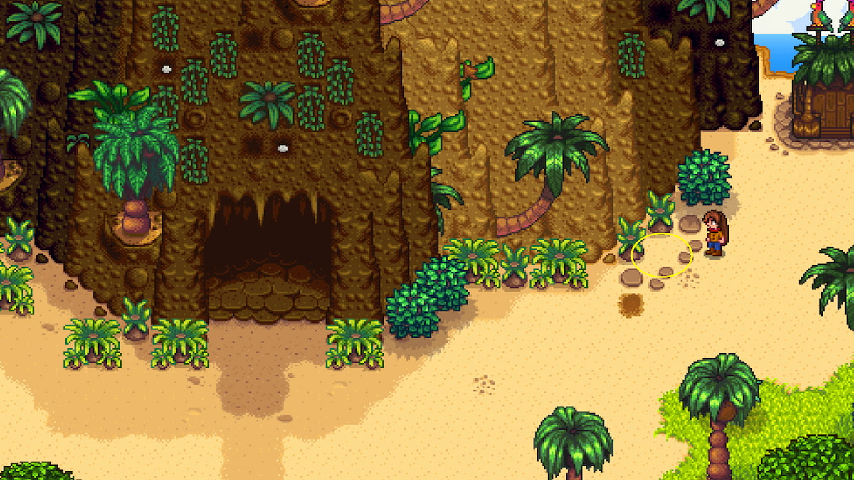 All Golden Walnut Locations in Stardew Valley – GameSkinny