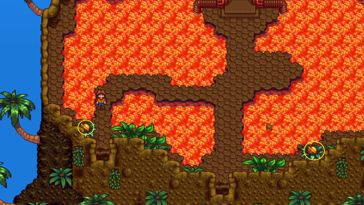 All Golden Walnut Locations in Stardew Valley – GameSkinny