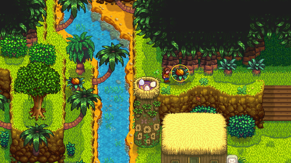 All Golden Walnut Locations in Stardew Valley – GameSkinny