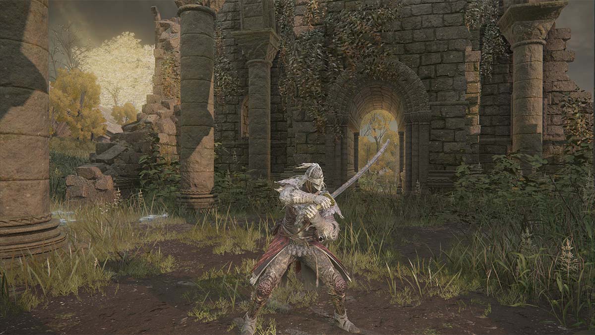 Elden Ring Katana Tier List – GameSkinny