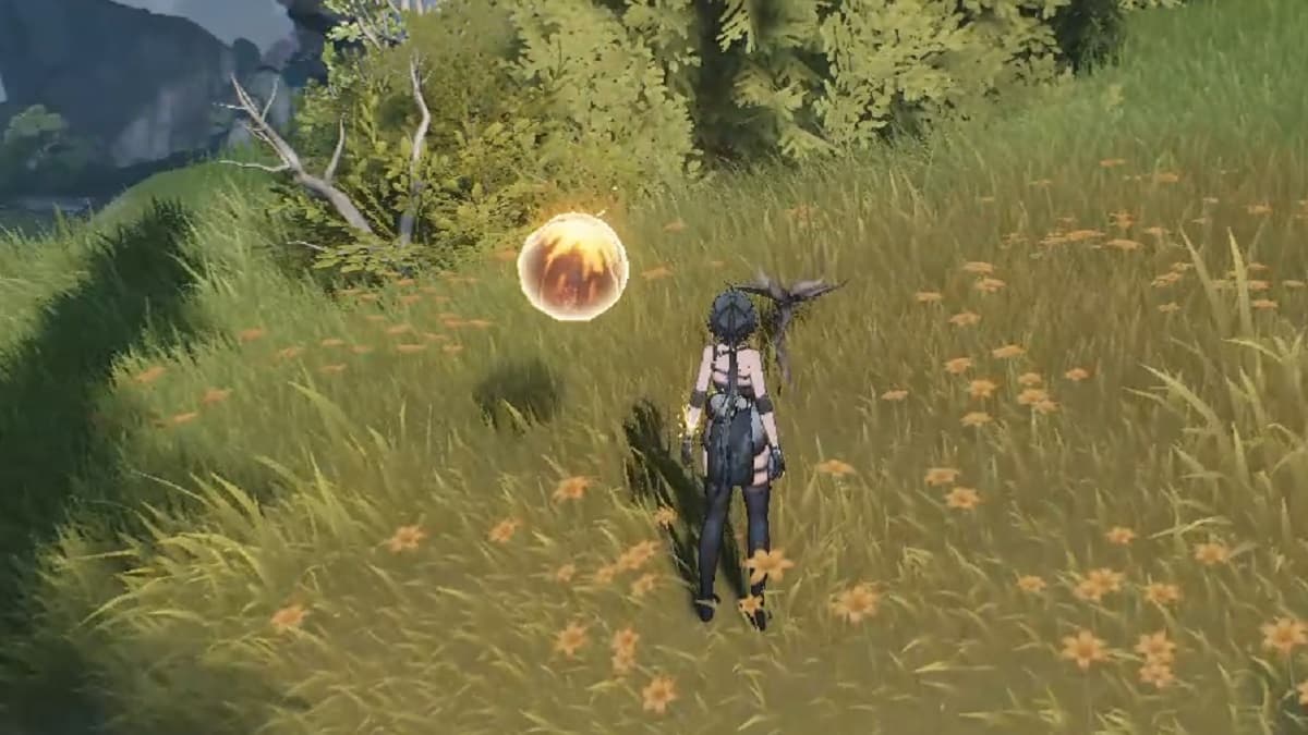 How to Use the Levitator in Wuthering Waves – GameSkinny