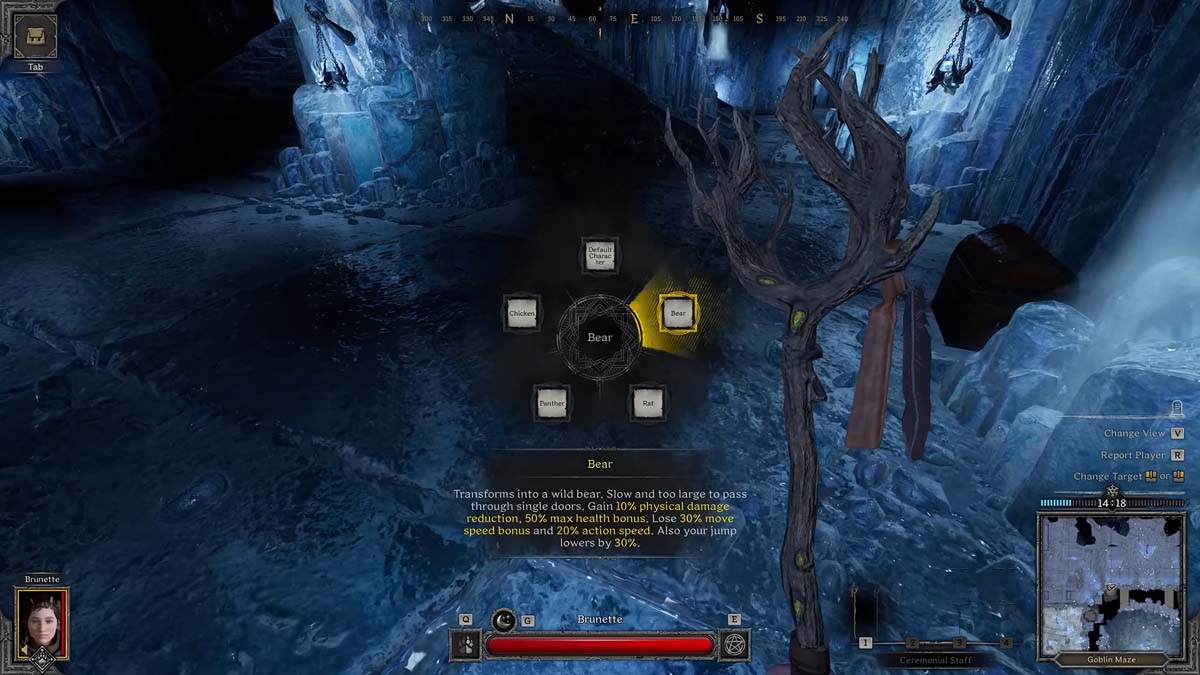 Dark and Darker Druid Guide: Best Perks and Spells – GameSkinny