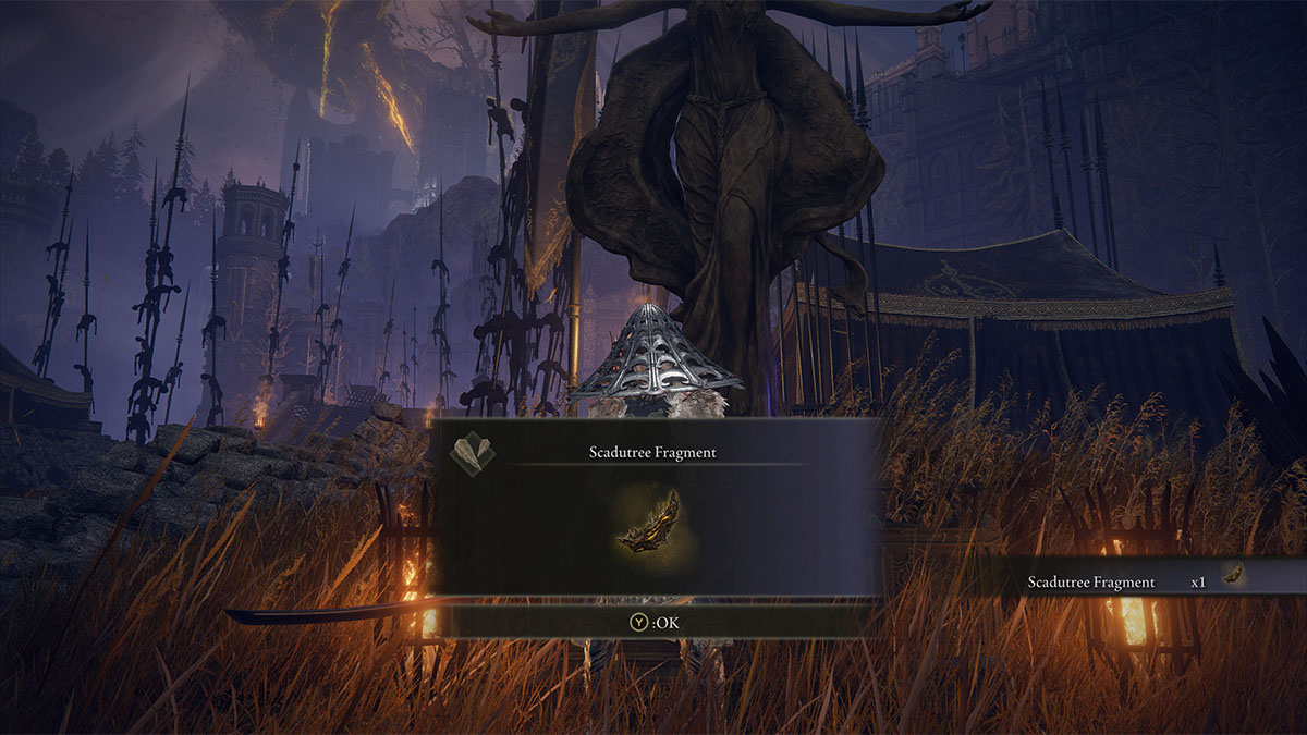 Where to Find All 50 Scadutree Fragments in Elden Ring Shadow of the ...