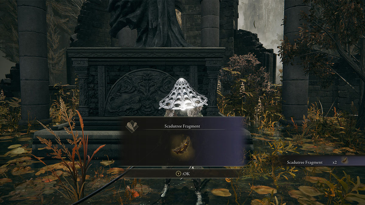 Where to Find All 50 Scadutree Fragments in Elden Ring Shadow of the ...