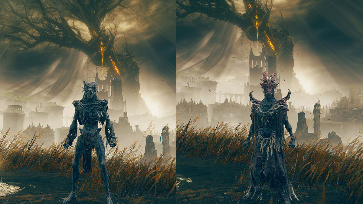 How to Get Dragon Form in Elden Ring Shadow of the Erdtree – GameSkinny