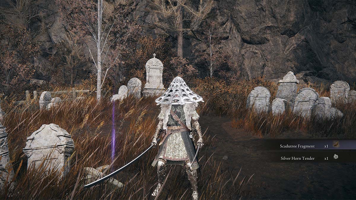 Where to Find All 50 Scadutree Fragments in Elden Ring Shadow of the ...